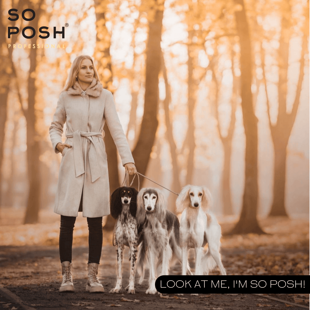 SO POSH - I'm So Silky Rinse-off Conditioner – So Posh